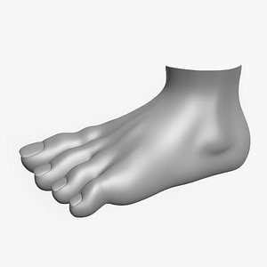 Foot 3D Models for Download | TurboSquid
