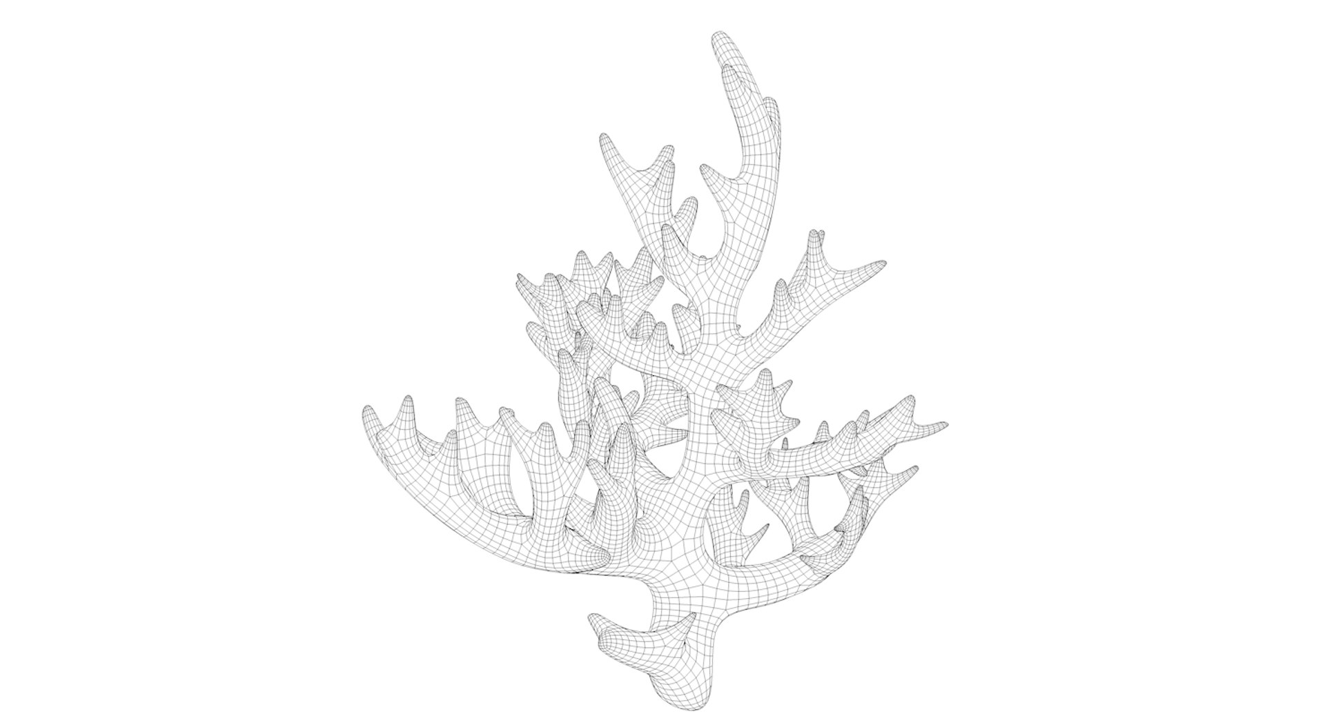Modeled Coral Model - TurboSquid 1425232