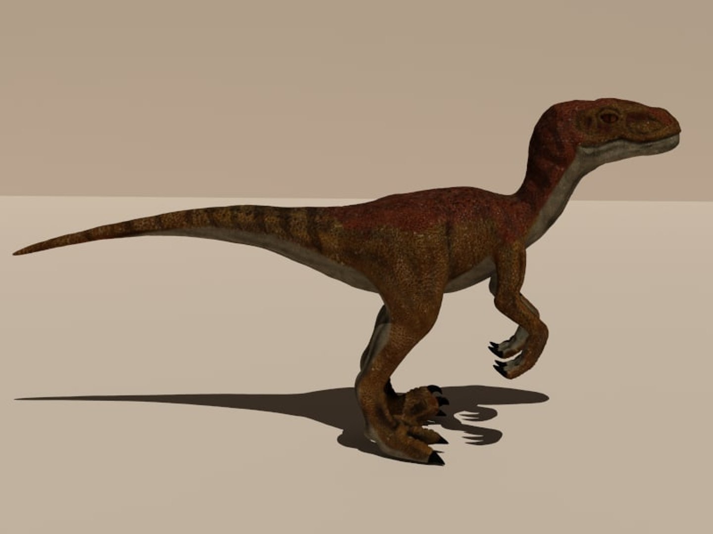 Velociraptor Raptor 3d Model