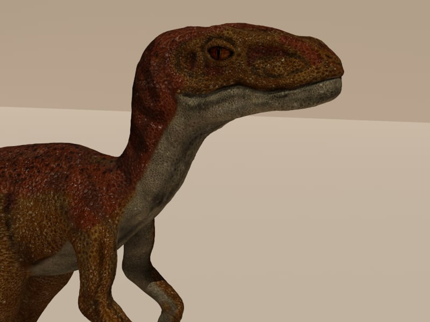 Velociraptor Raptor 3d Model
