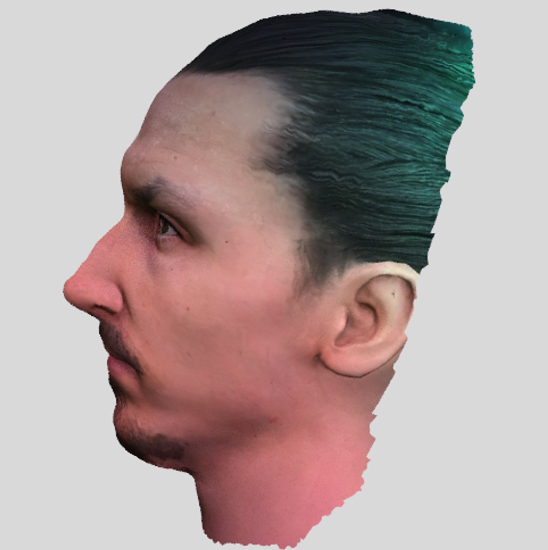 3D Zlatan Ibrahimovic Face | 1143874 | TurboSquid