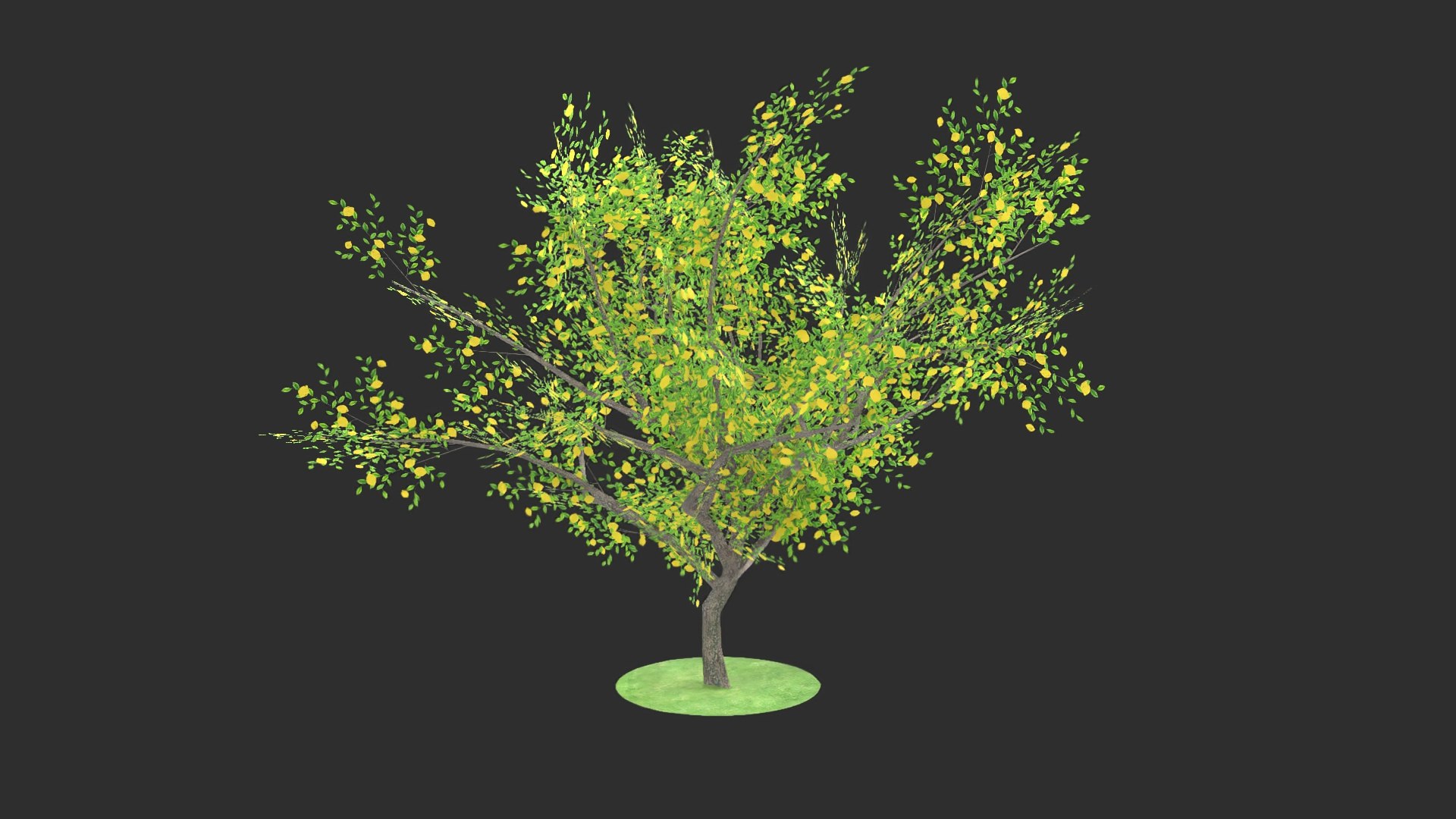 3D Citrus Fruits Model - TurboSquid 1618910