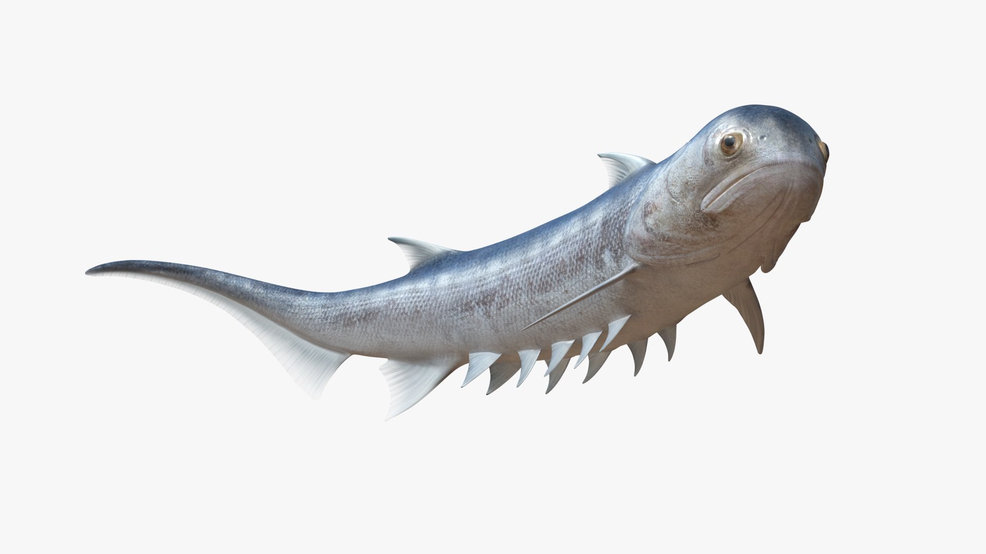 3D Acanthodii Fish - TurboSquid 1734360
