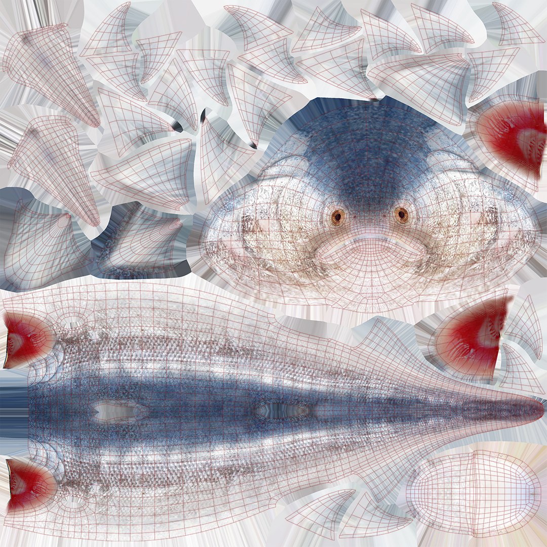 3D Acanthodii Fish - TurboSquid 1734360
