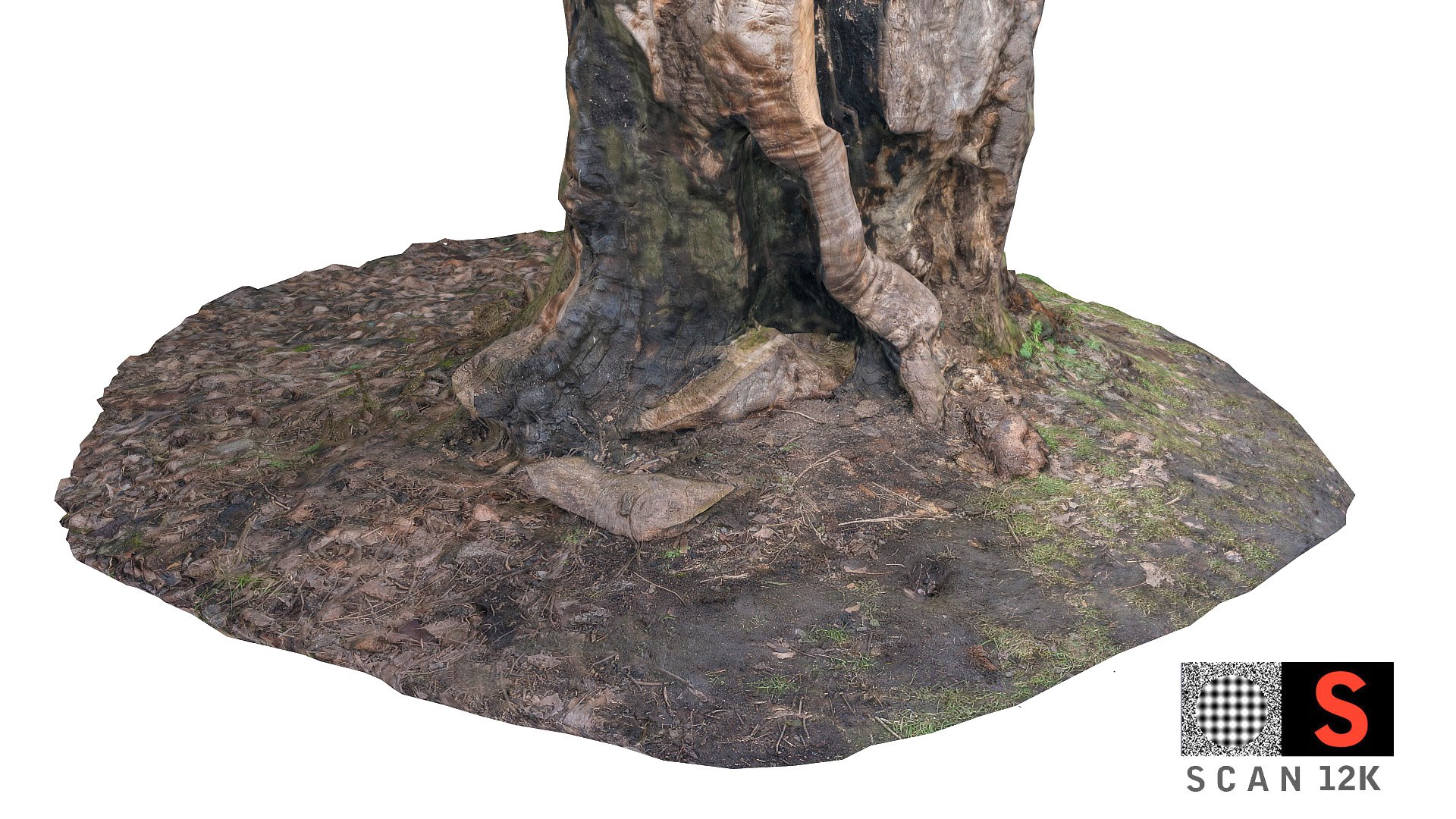 Ocean Temple 3D Model - TurboSquid 2281846