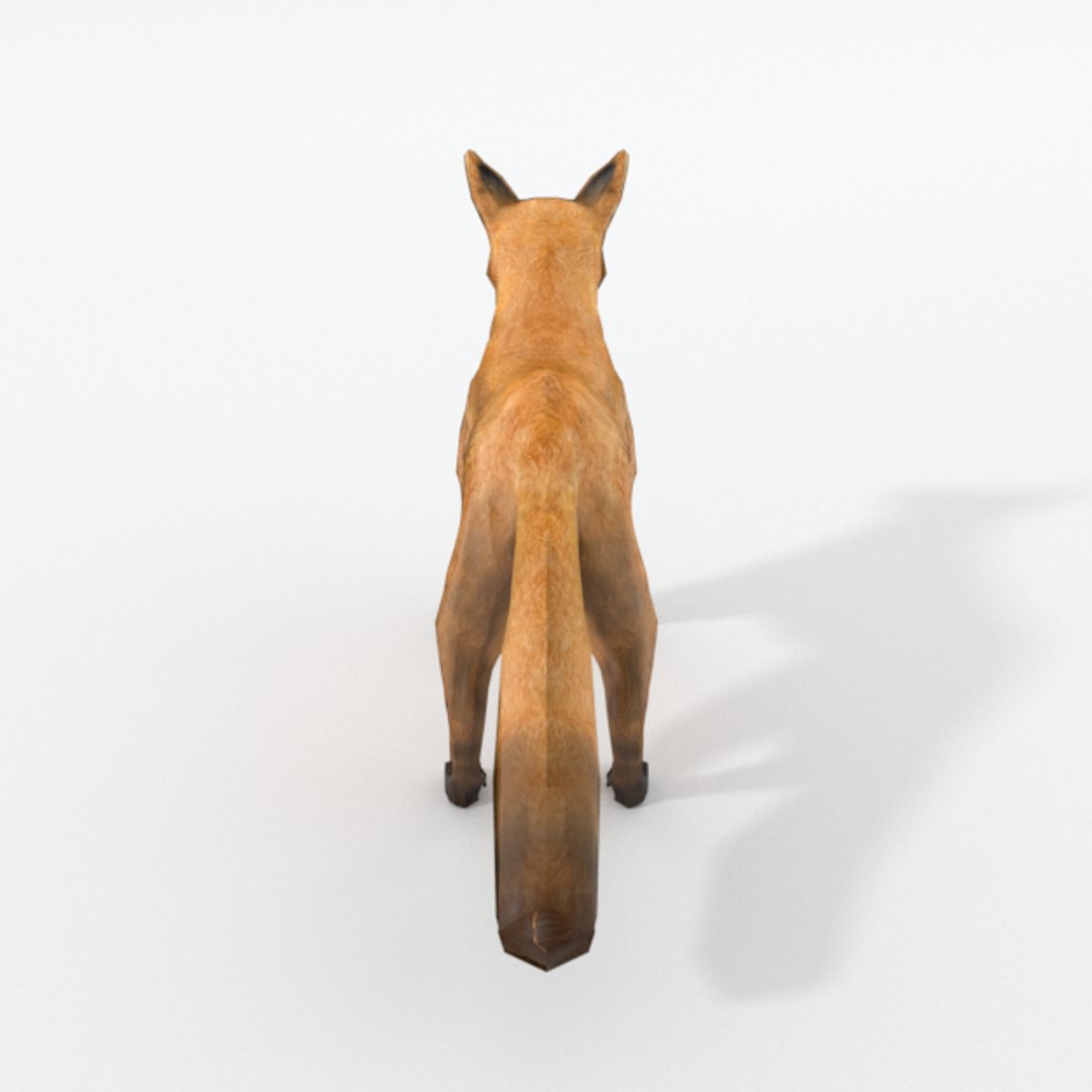 Red Fox Model - TurboSquid 1340919