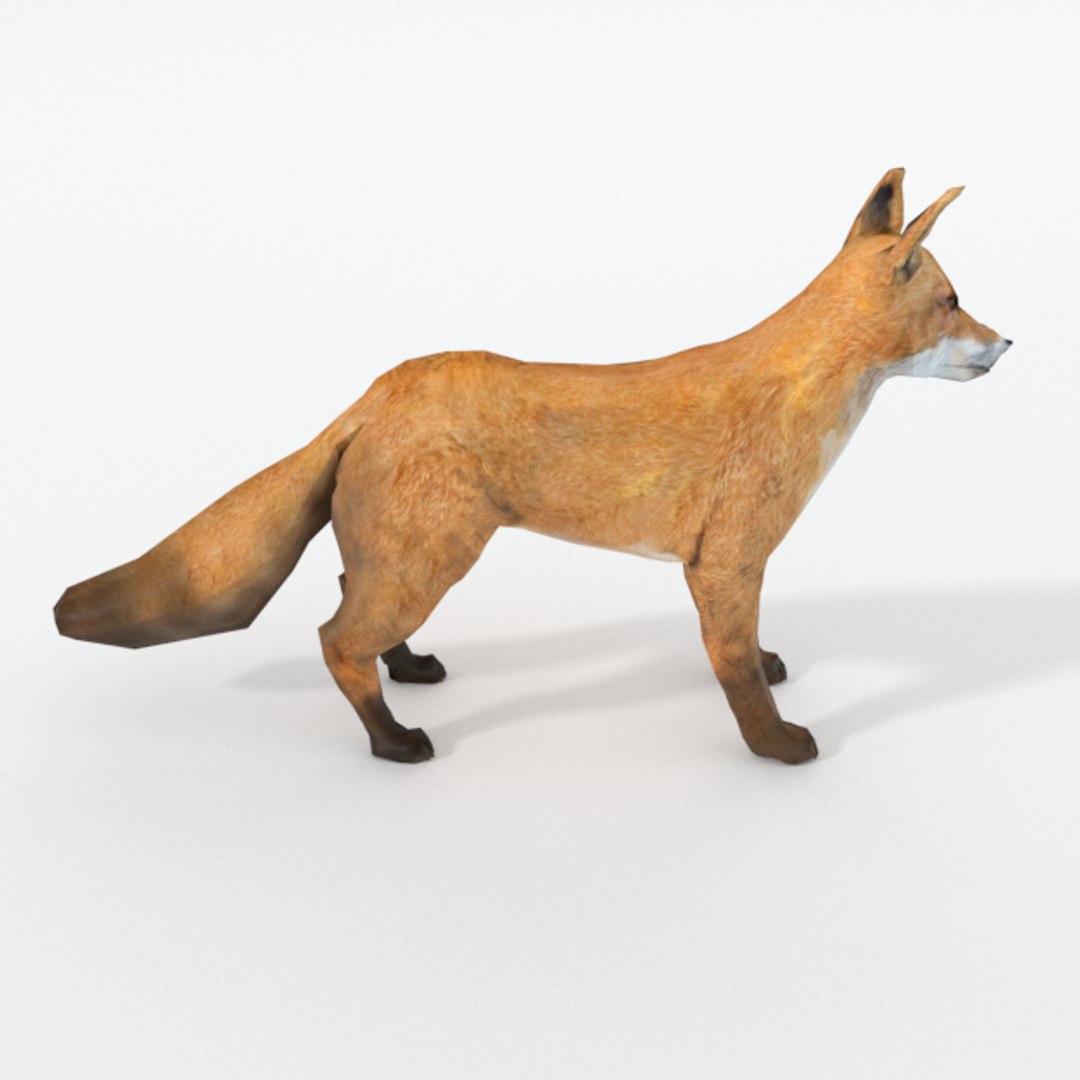 Red Fox Model - TurboSquid 1340919