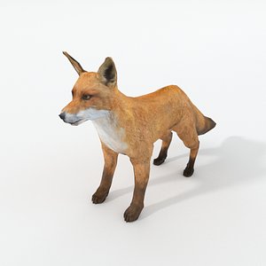 Red Fox STL Models for Download | TurboSquid