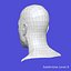 3d X-ray Male Face