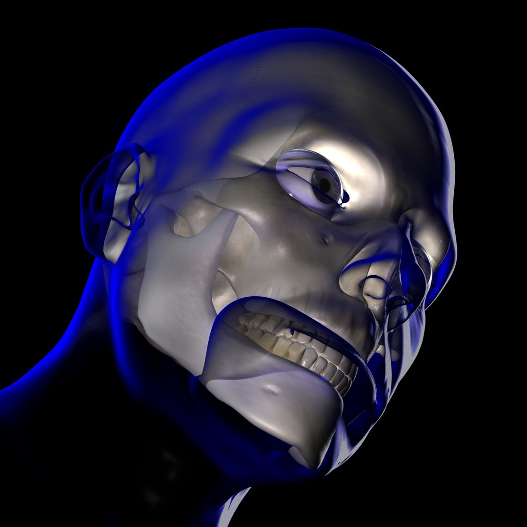3d X-ray Male Face