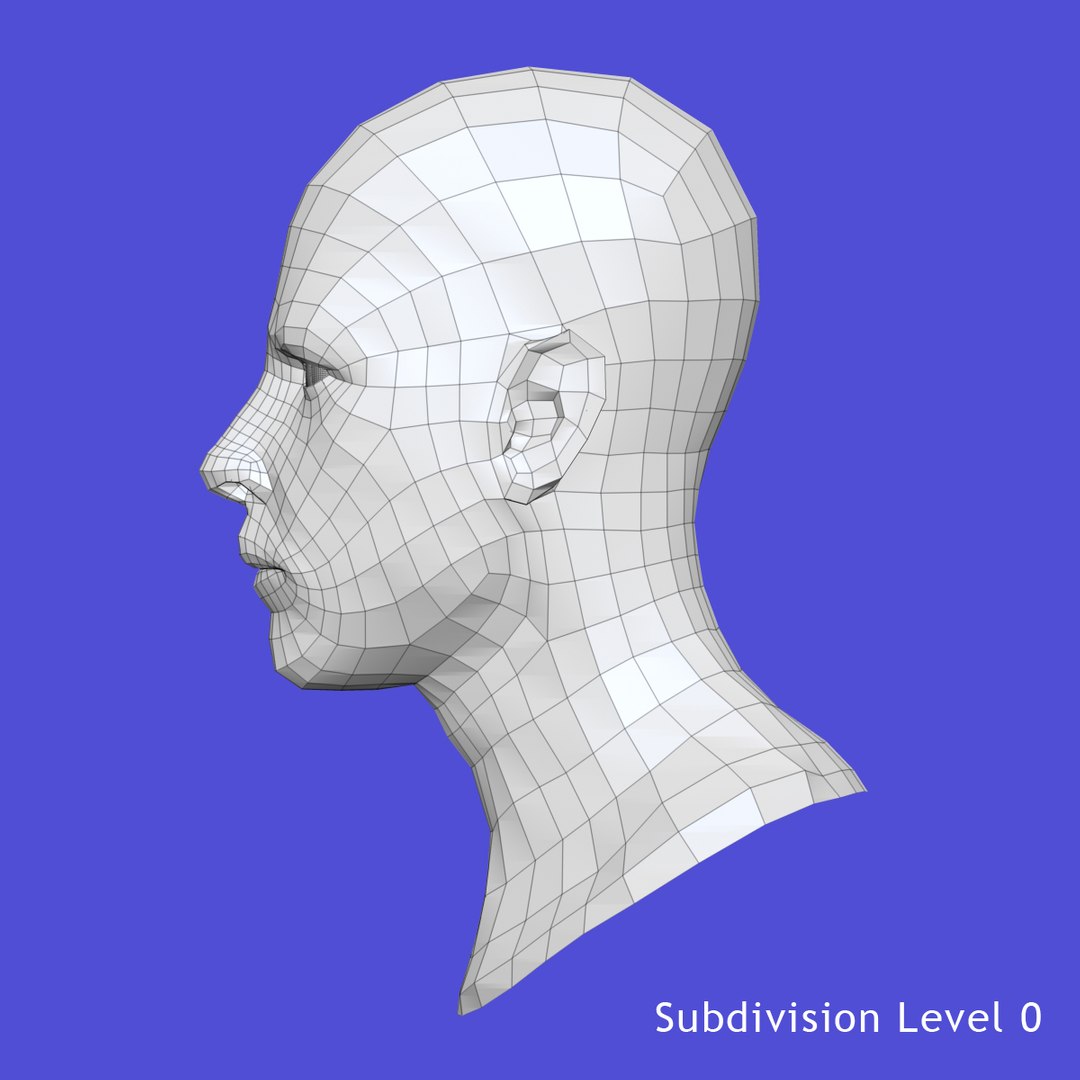 3d X-ray Male Face