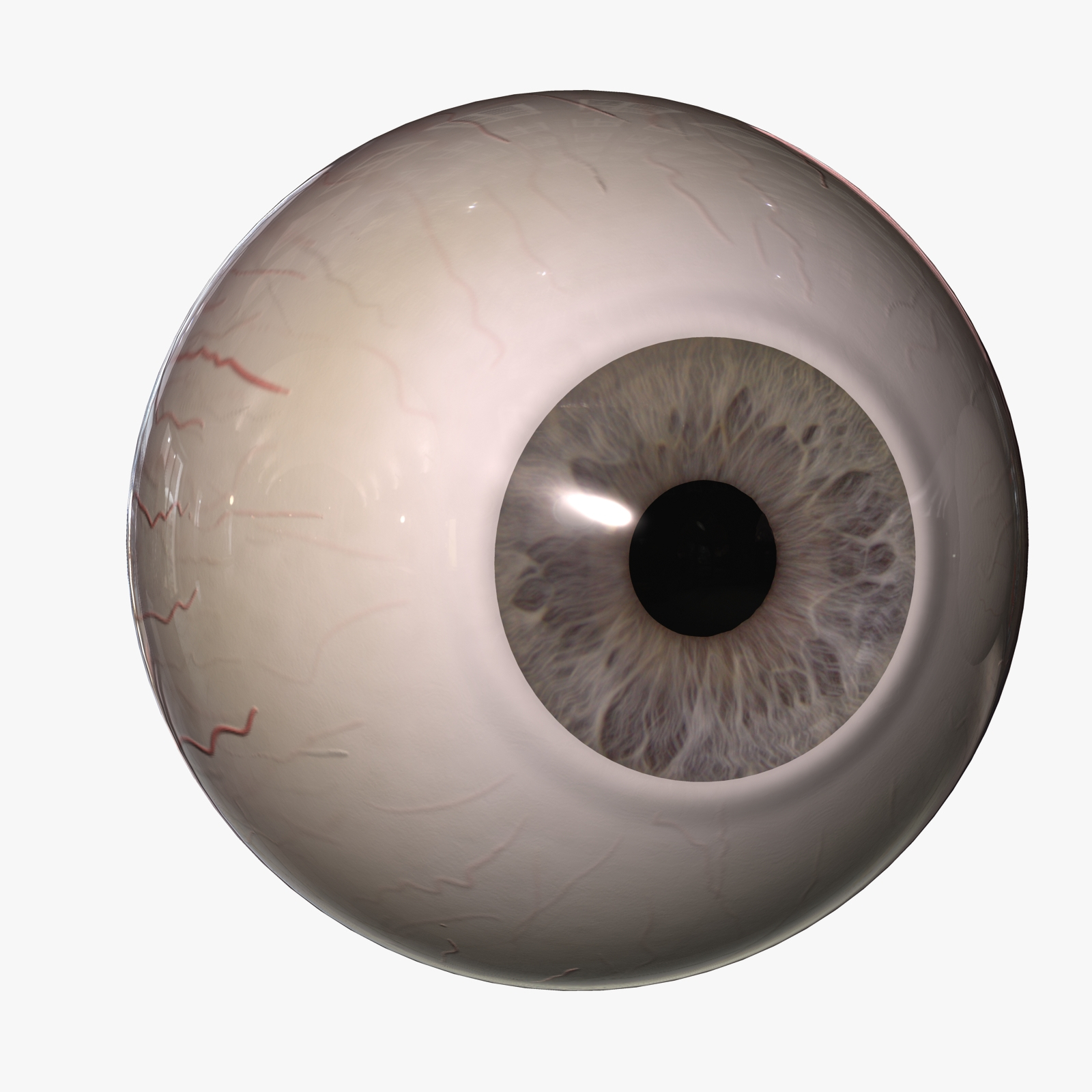 3d x-ray male face