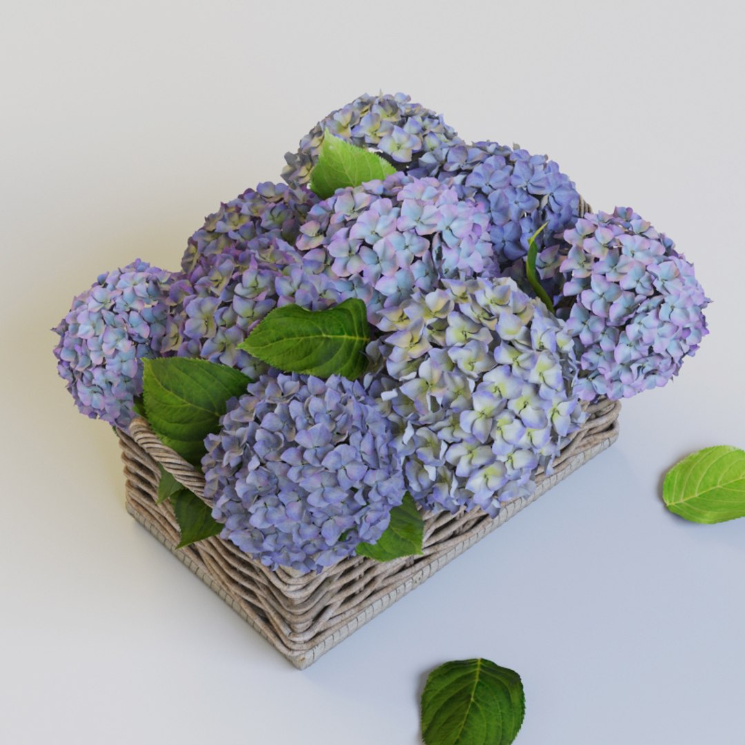 3d hydrangea design