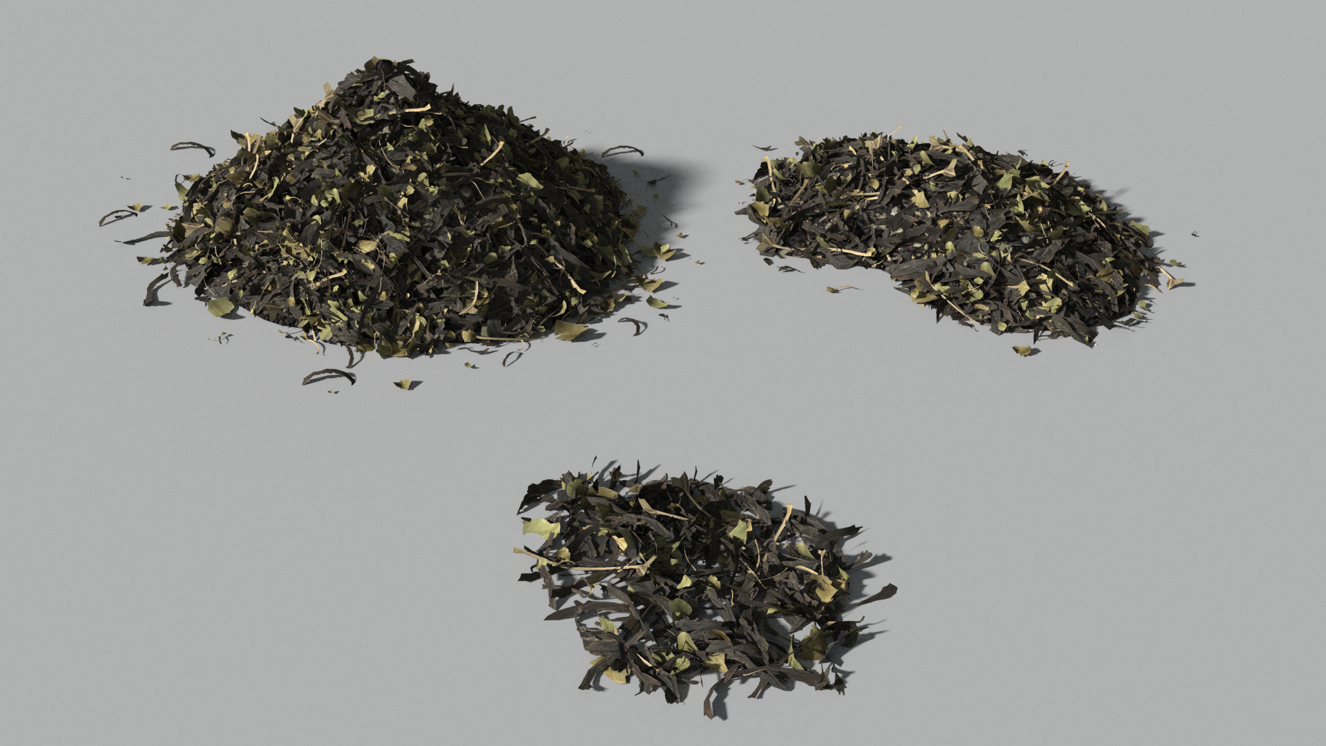 3D Tea Leaf Model - TurboSquid 1695648