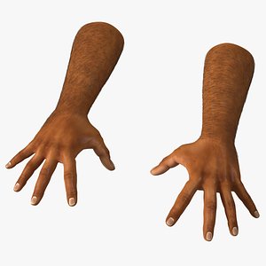 Free 3D Hand Models - Available For Download On TurboSquid