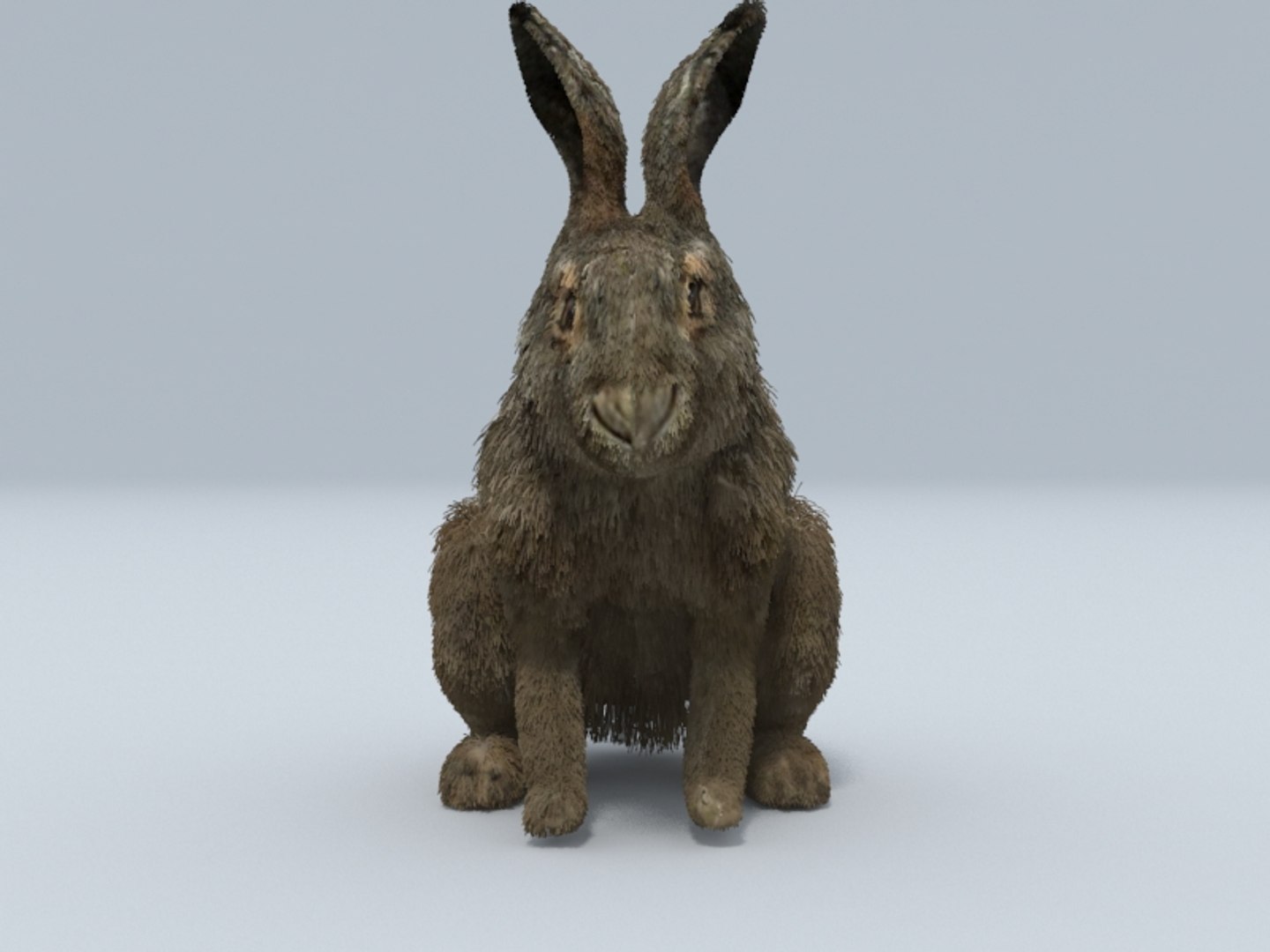 3d model realistic hare