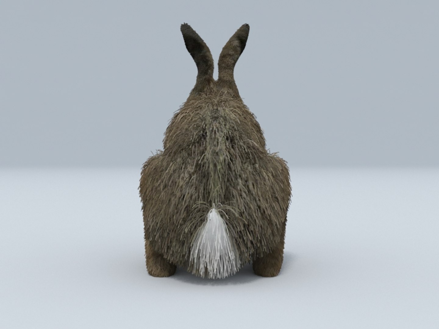 3d model realistic hare