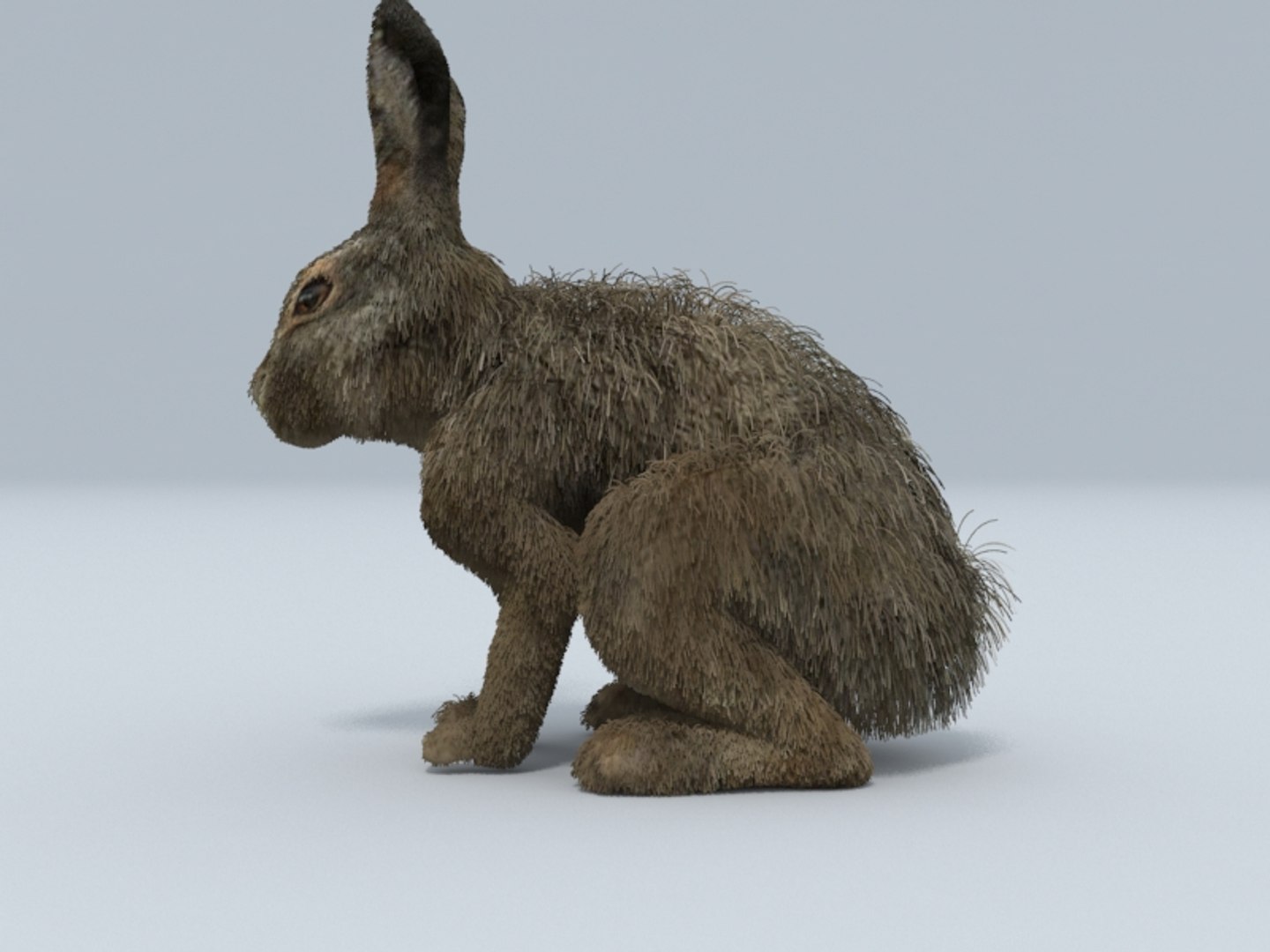 3d model realistic hare