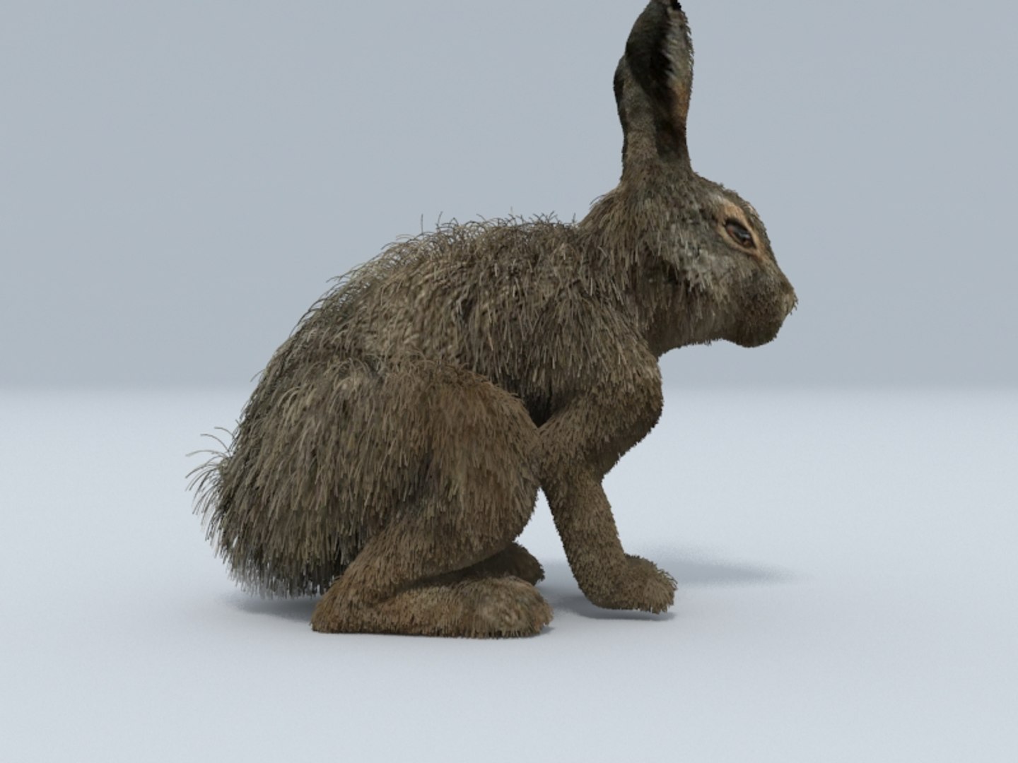 3d model realistic hare
