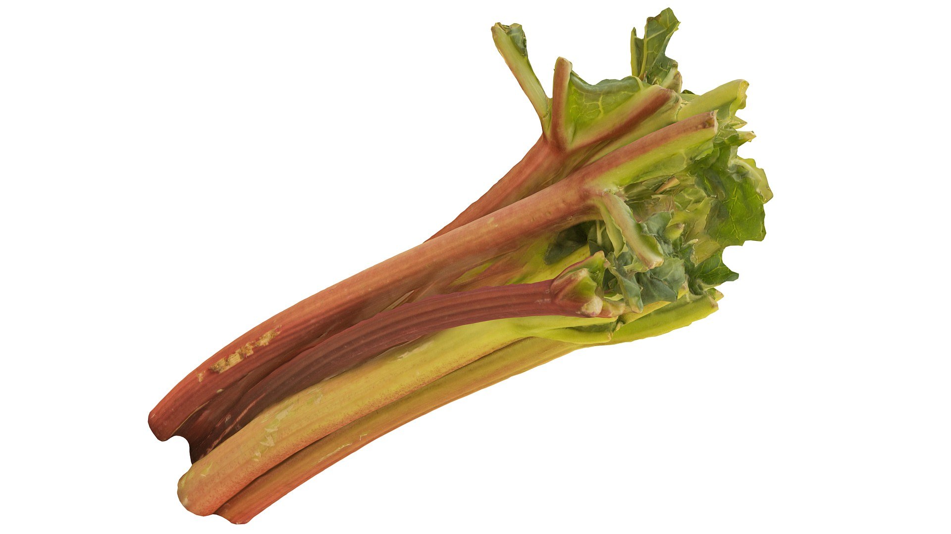 Rhubarb 8k 3d Max