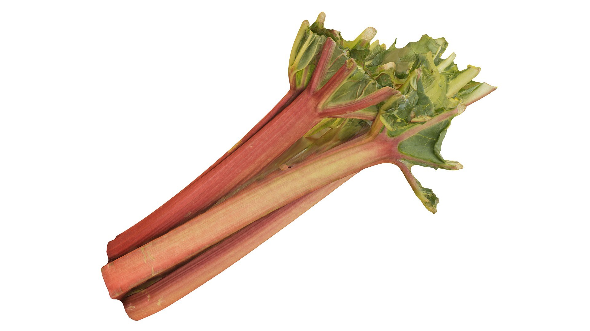 Rhubarb 8k 3d Max