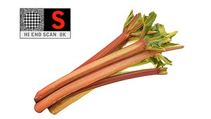 Rhubarb 3D Models for Download | TurboSquid