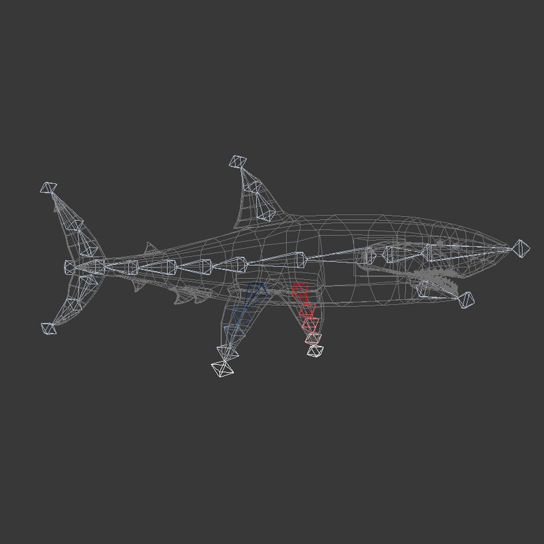Lightwave Shark Animation