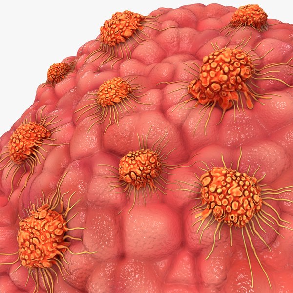 Cell 3D Models for Download | TurboSquid