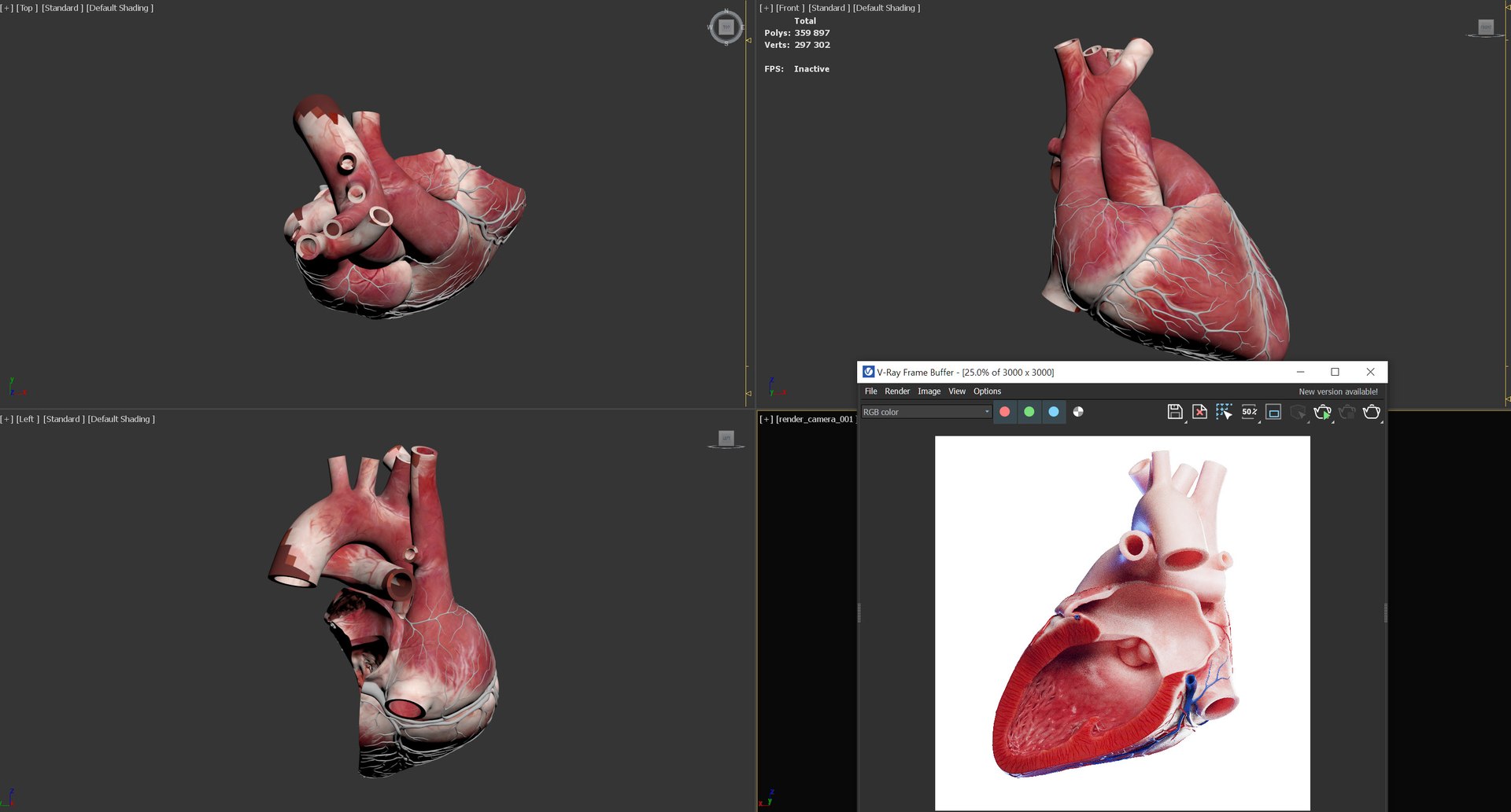Medically Accurate Lateral Cross-section Of The Human Heart I Animated ...