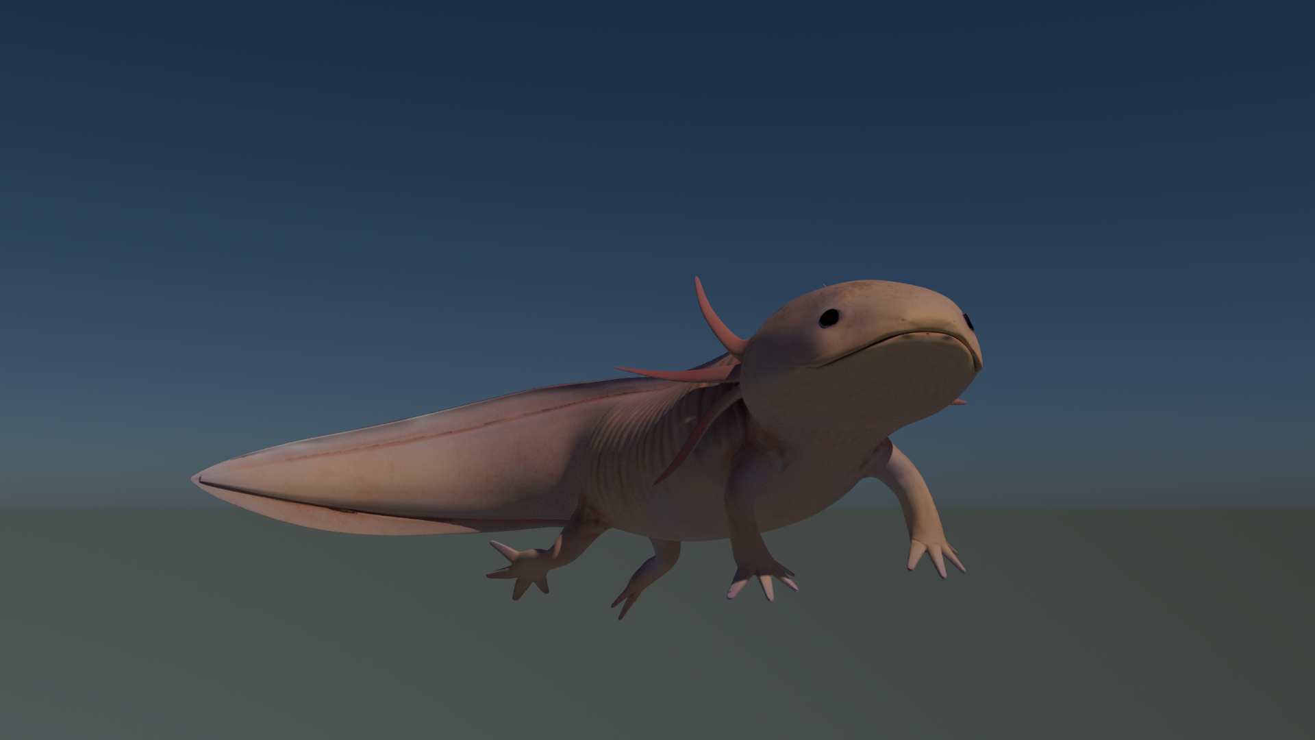 3D Axolotl - TurboSquid 1956677