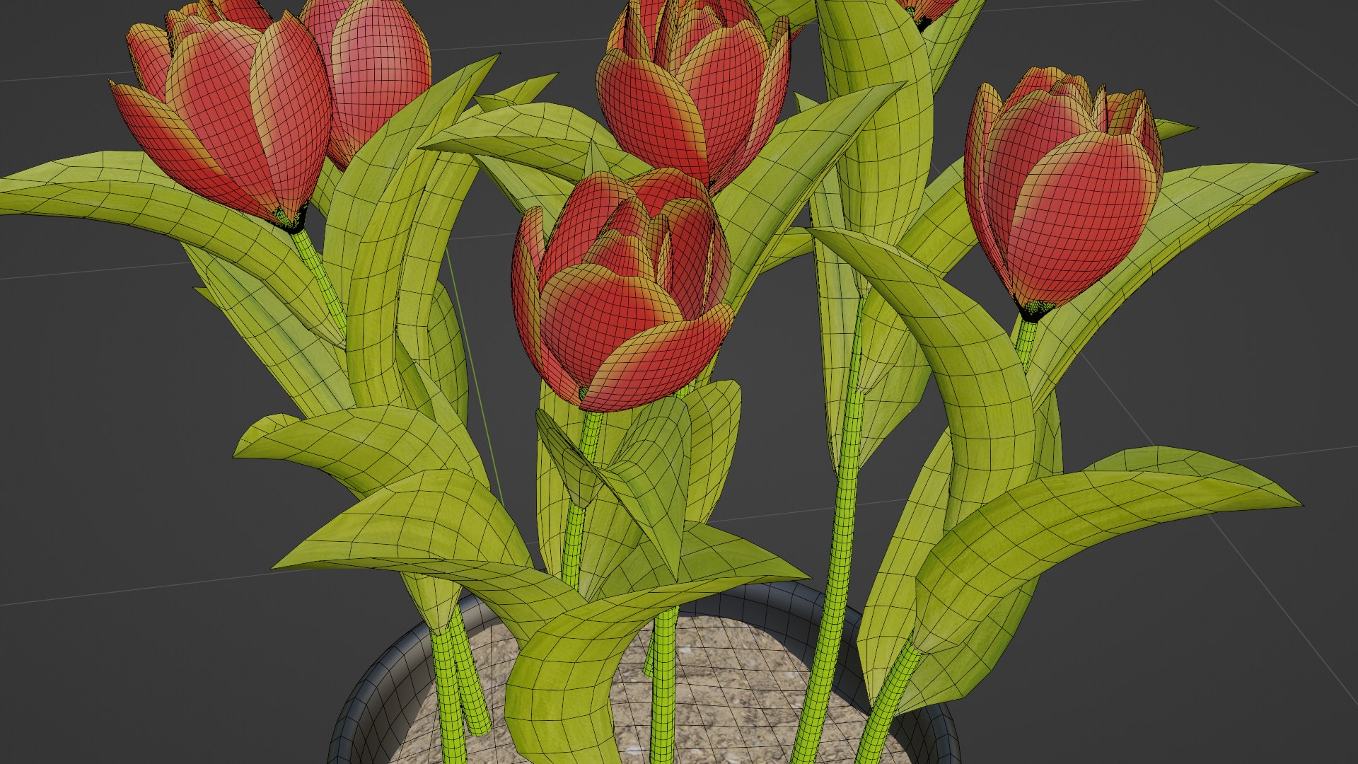 3D Tulips Plant Model - TurboSquid 2066999
