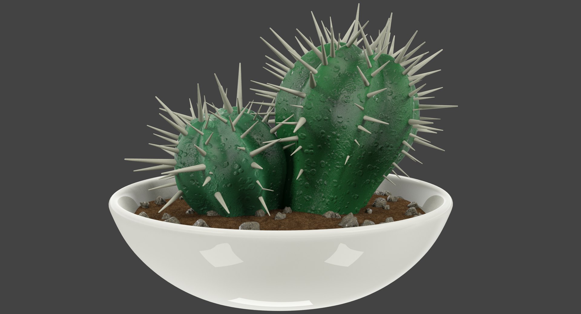 3D Model Cactus Pot - TurboSquid 1413694