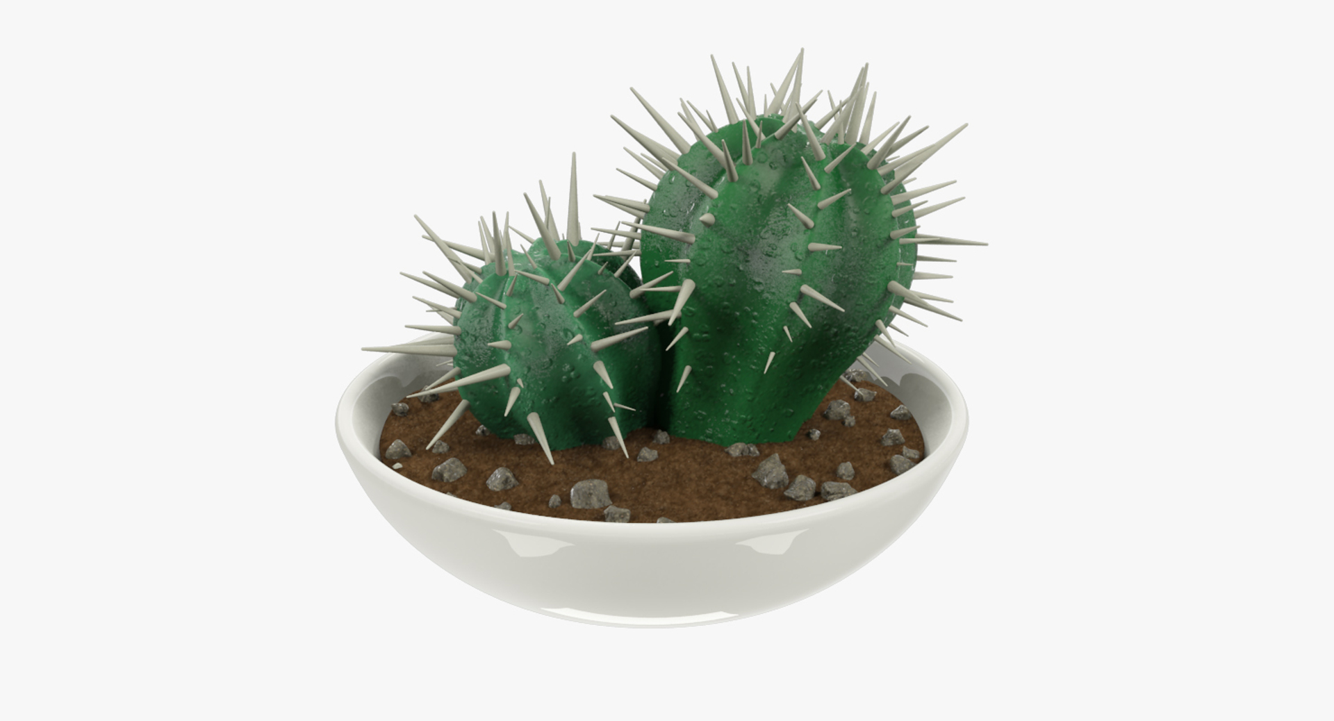 3D Model Cactus Pot - TurboSquid 1413694