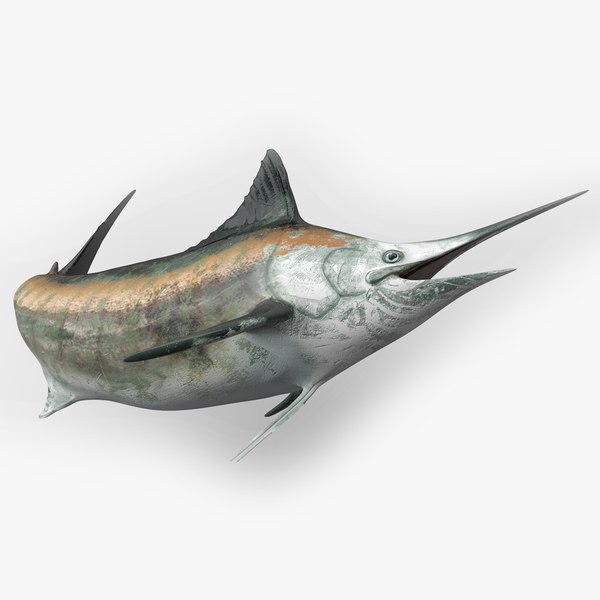 Marlin Rigged L1832 3D model - TurboSquid 1966788