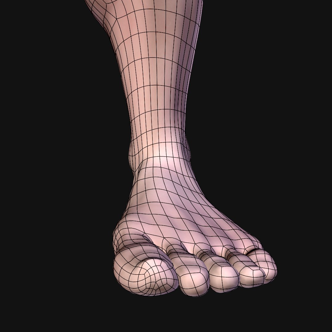 Body Bodybuilding 3d Obj