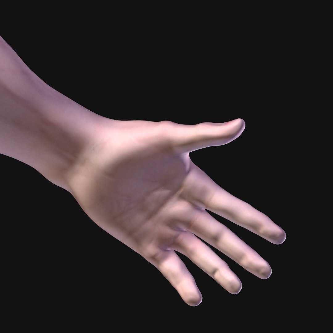 Body Bodybuilding 3d Obj