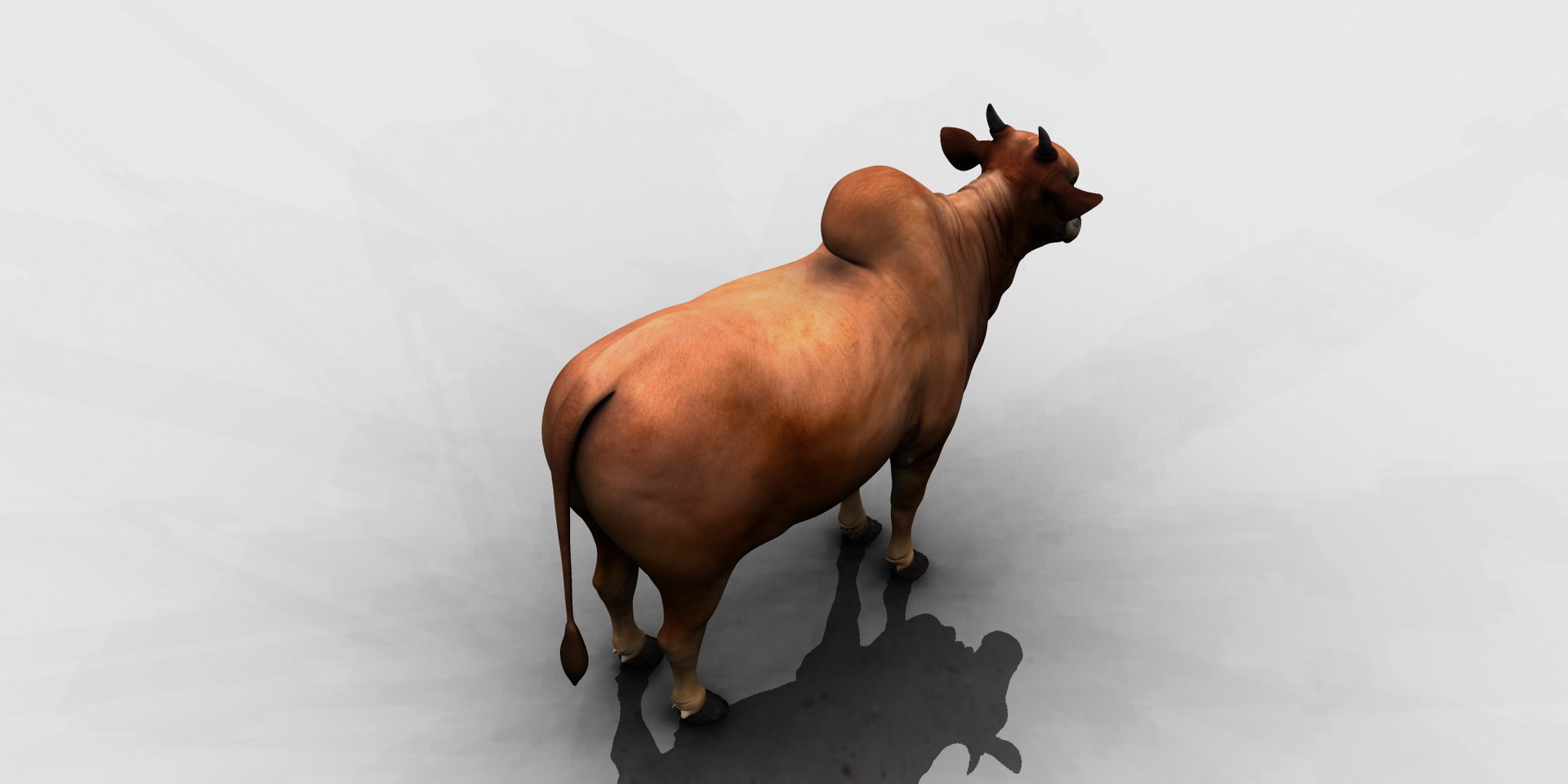 3D bull model - TurboSquid 1463073