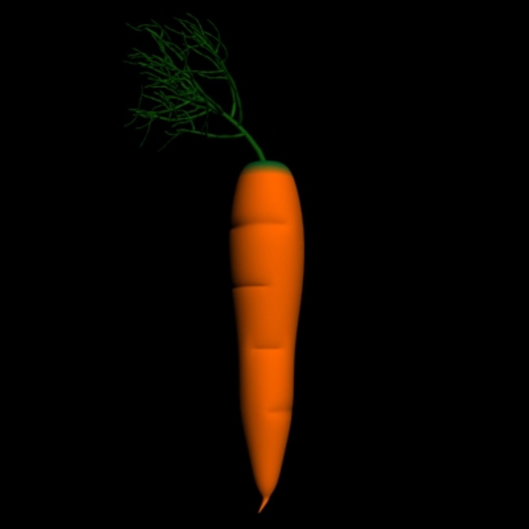 Free Carrot 3d Model