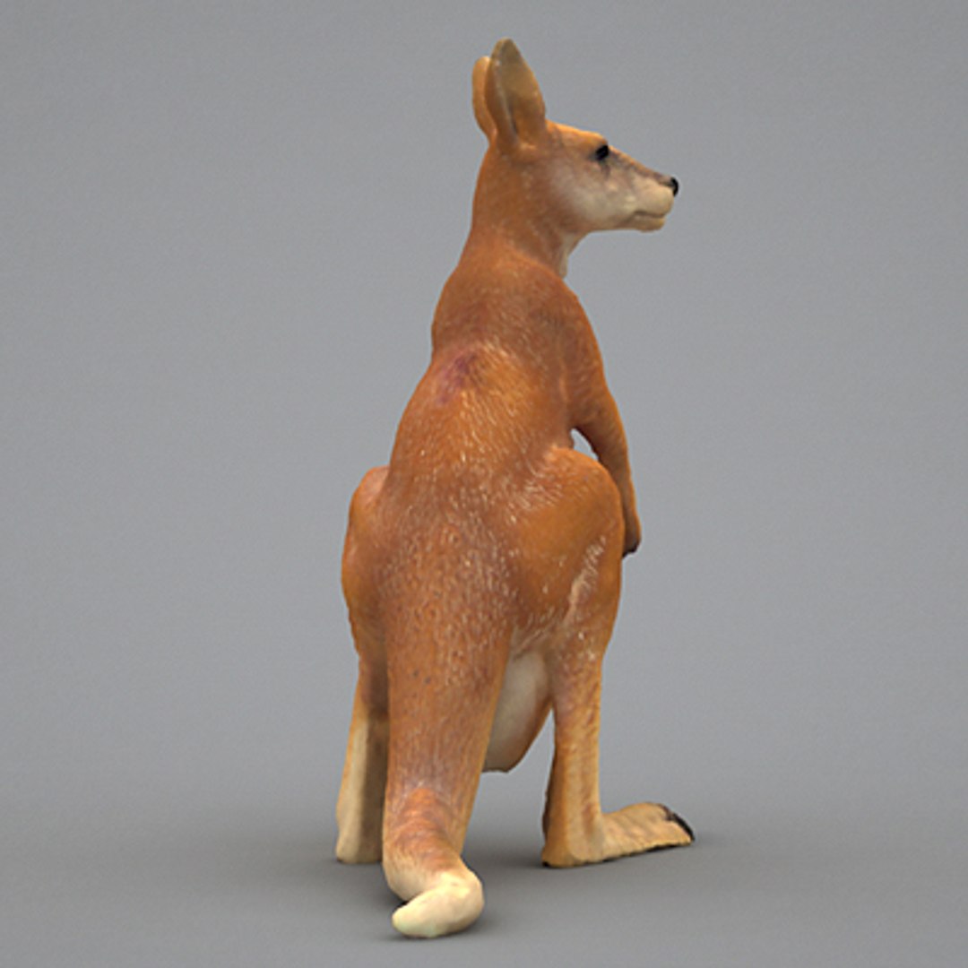 Kangaroo 3d Model