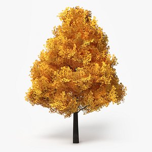 Low Poly Maple Tree 3D Models For Download | TurboSquid