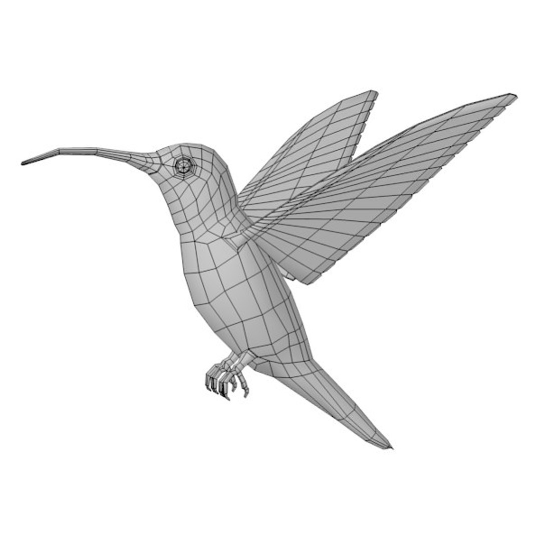 3d Model Colibri Bird Rigged