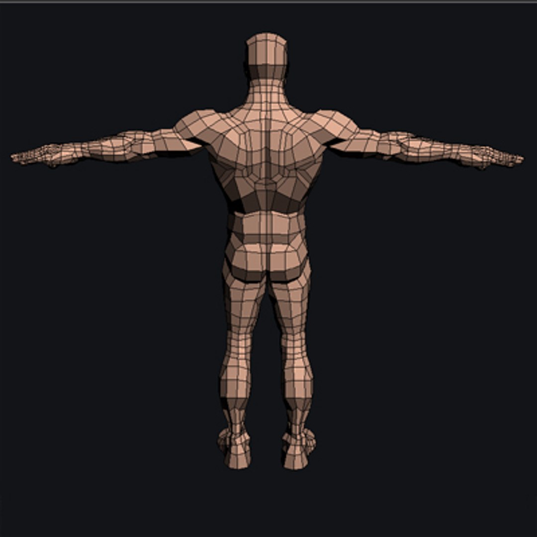 Male Guy 3d Model