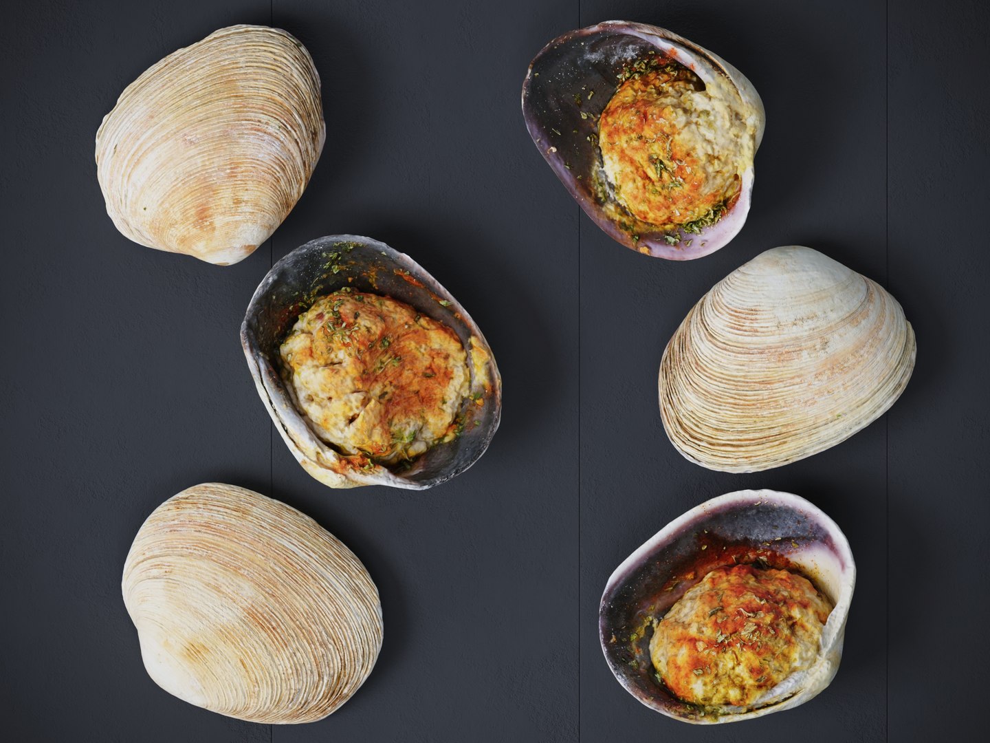3D Clams Stuffed Model - TurboSquid 2092853