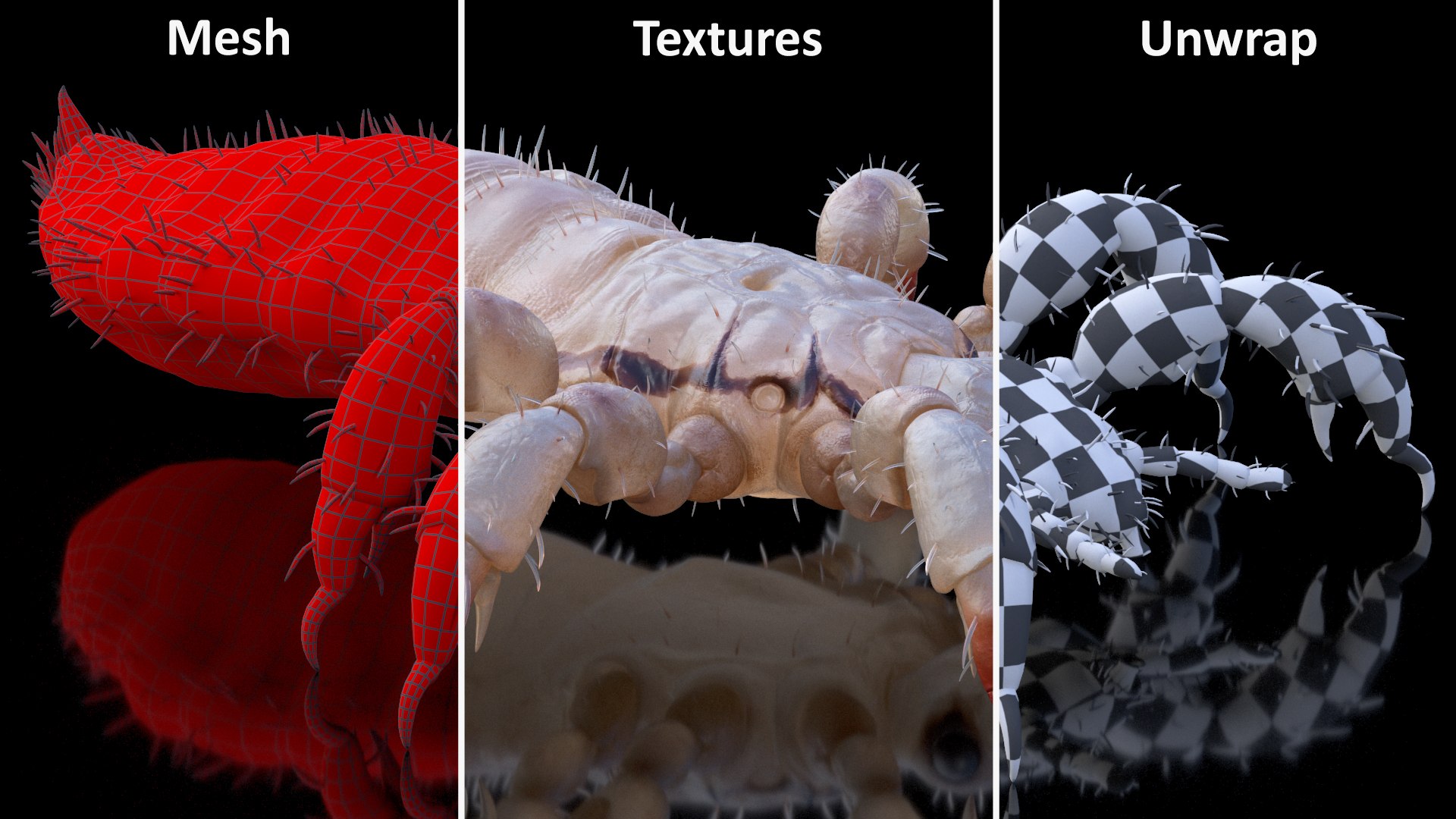 3D Louse White Hiding Pose Model - TurboSquid 2386294