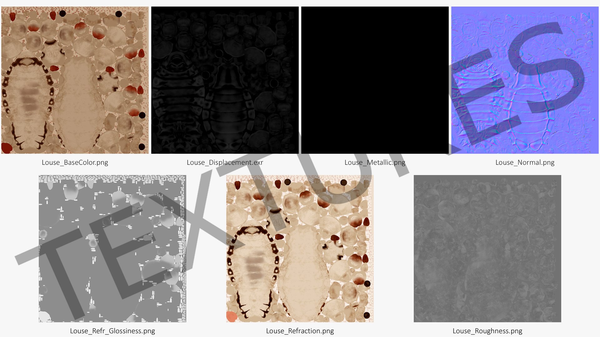 3D Louse White Hiding Pose Model - TurboSquid 2386294