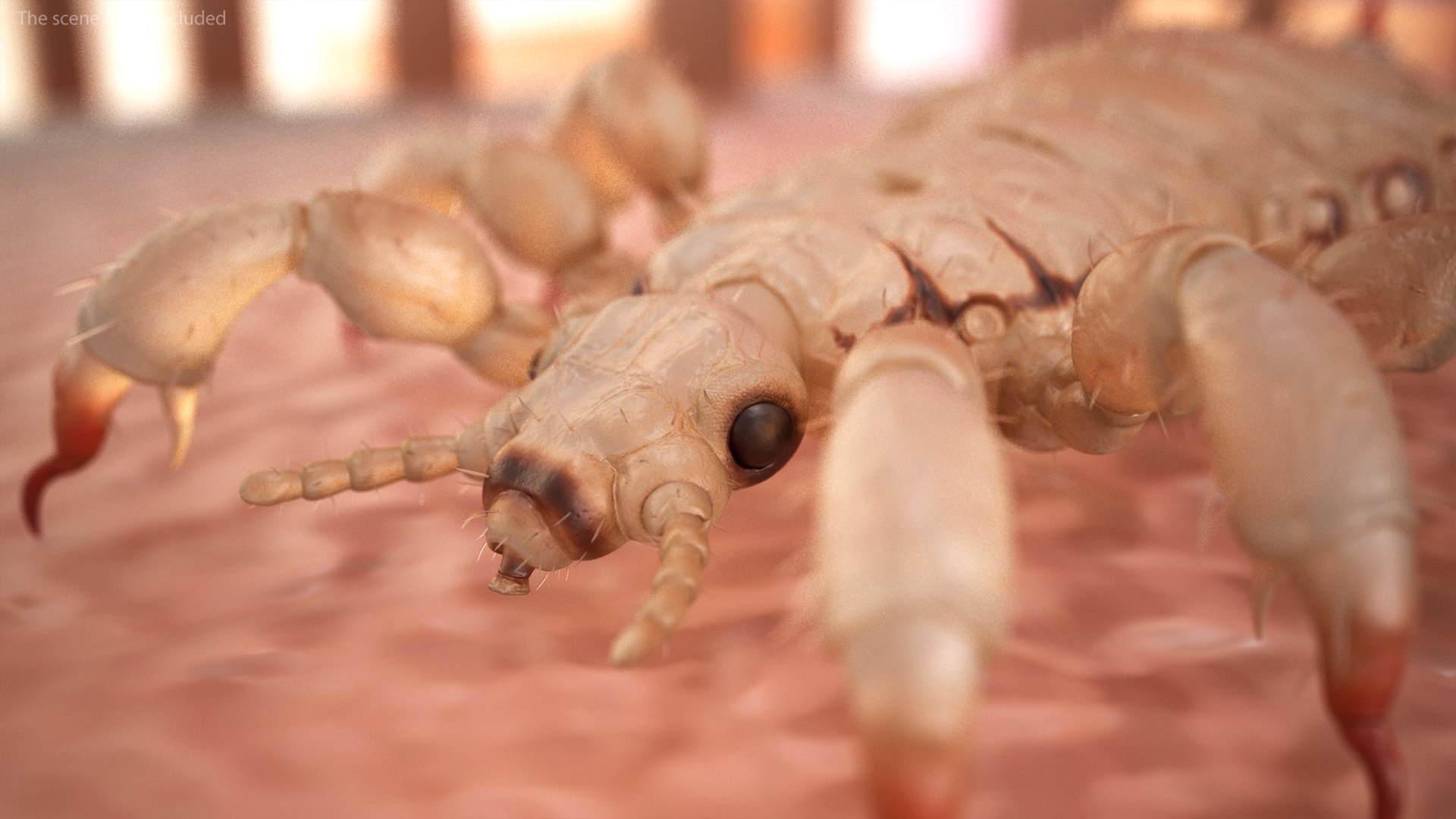 3D Louse White Hiding Pose Model - TurboSquid 2386294