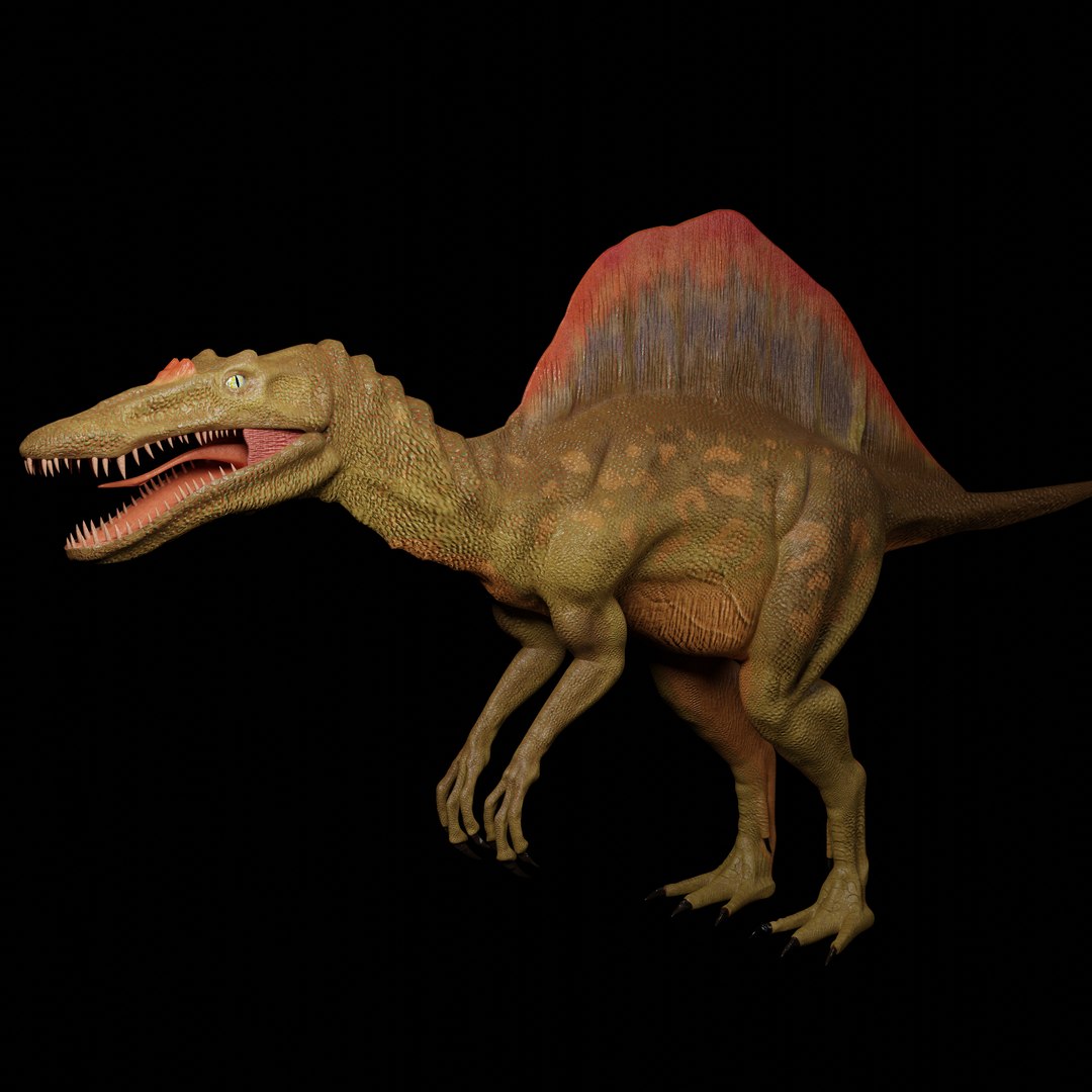 3D Spinosaurus with UDEMS - TurboSquid 2060608