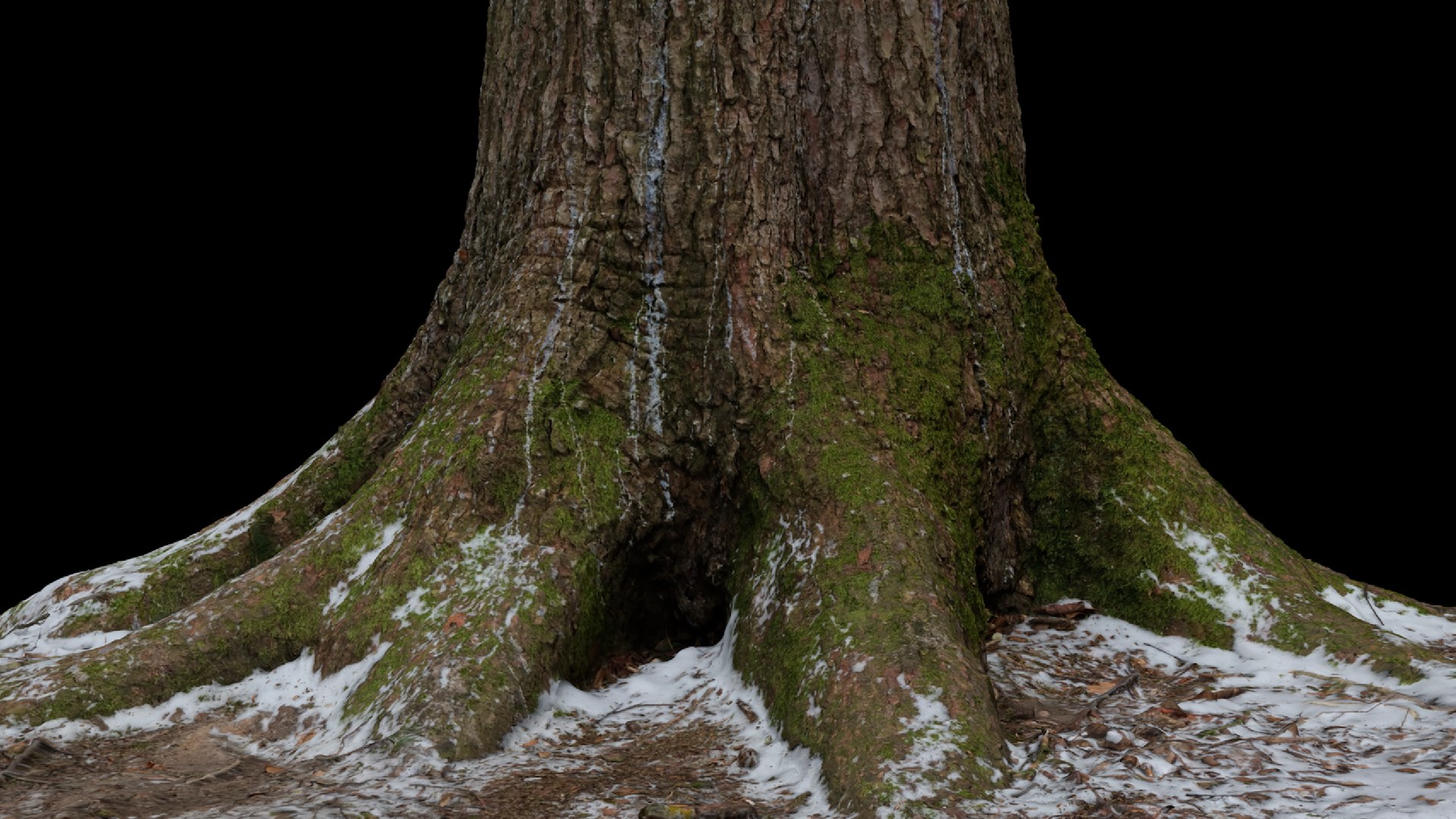 3D Swiss Winter Tree 001 Model - TurboSquid 2177148