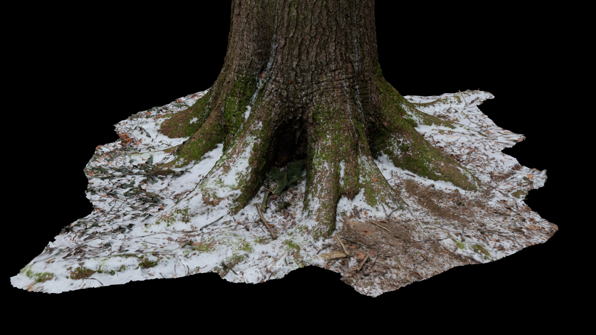 3D Swiss Winter Tree 001 Model - TurboSquid 2177148