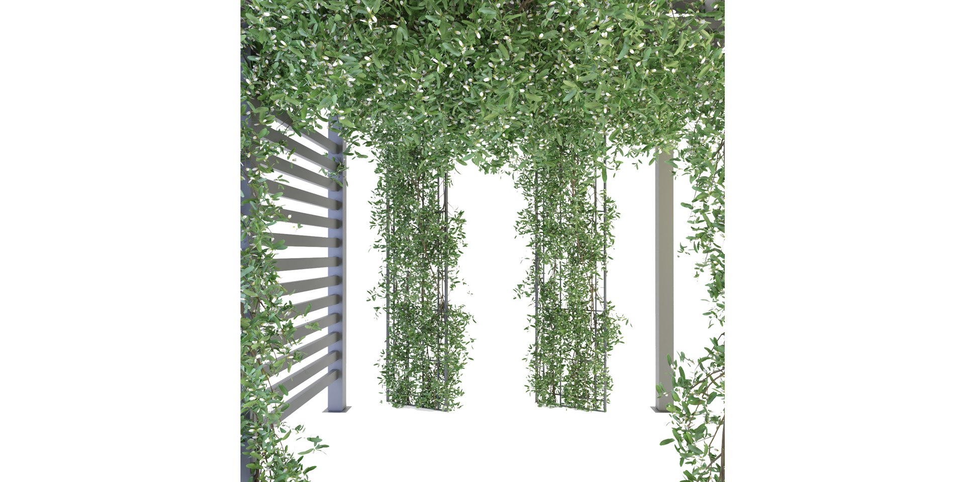 3D Model Collection Plant Vol 143 - Blender Model - TurboSquid 2086012